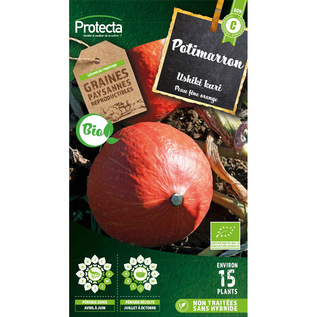 POTIMARRON USHIKI KURI BIO