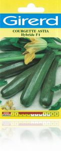 Graines - semis : Courgette Astia HF1 sachet 4 g
