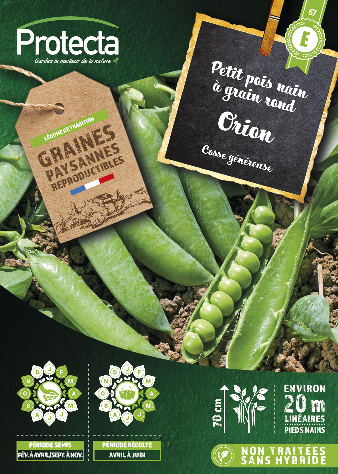 Pois Nain À Grain Rond Orion-Bte 150g